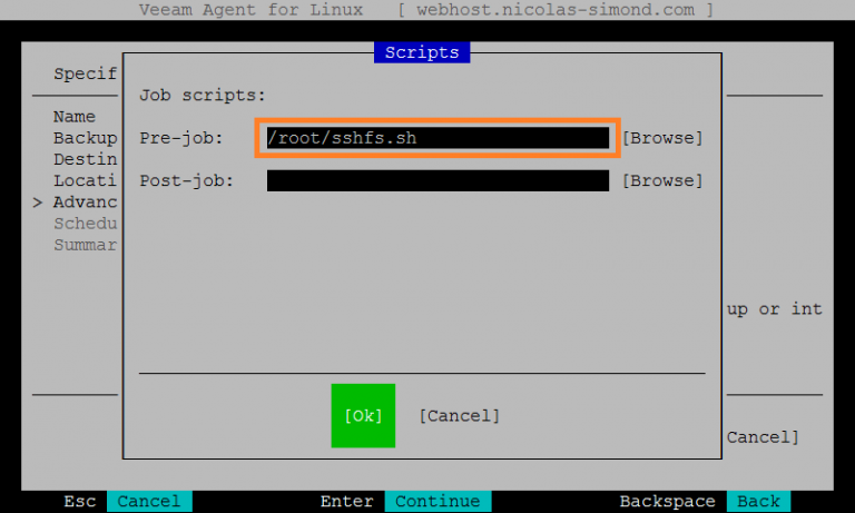 Veeam pour Linux, SSHFS et FTP Online.net